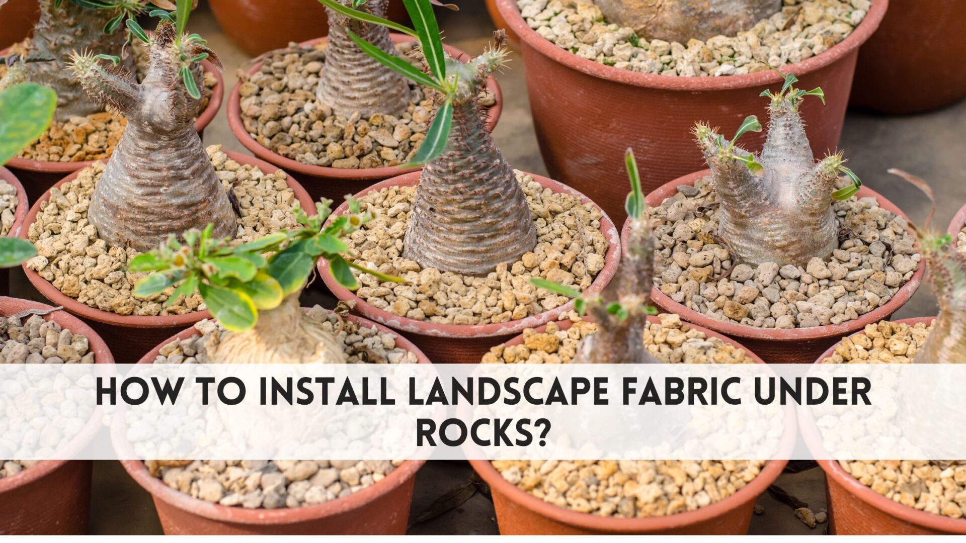 How to Install Landscape Fabric Under Rocks?