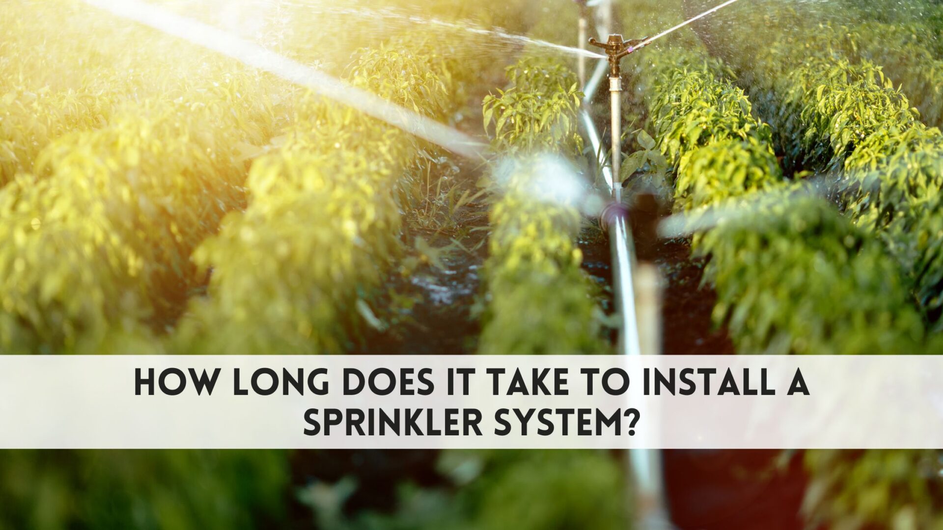 How long it takes for Sprinkler Irrigation Installation